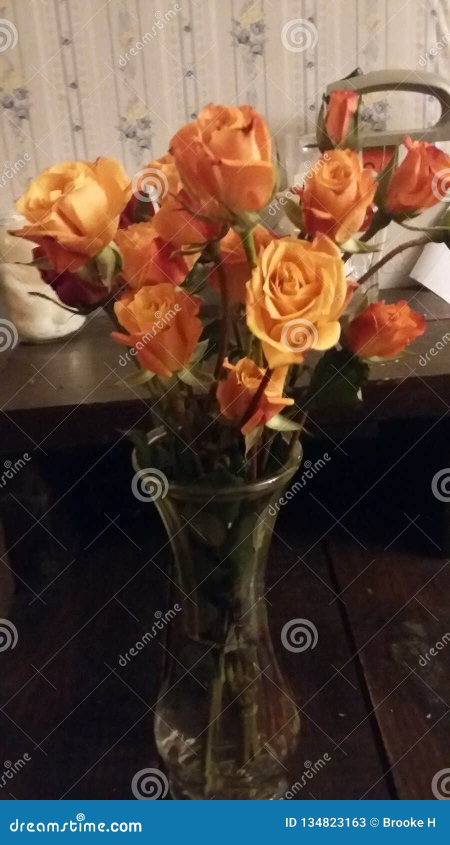Orange Roses stock image. Image of orange, beautiful - 134823163
