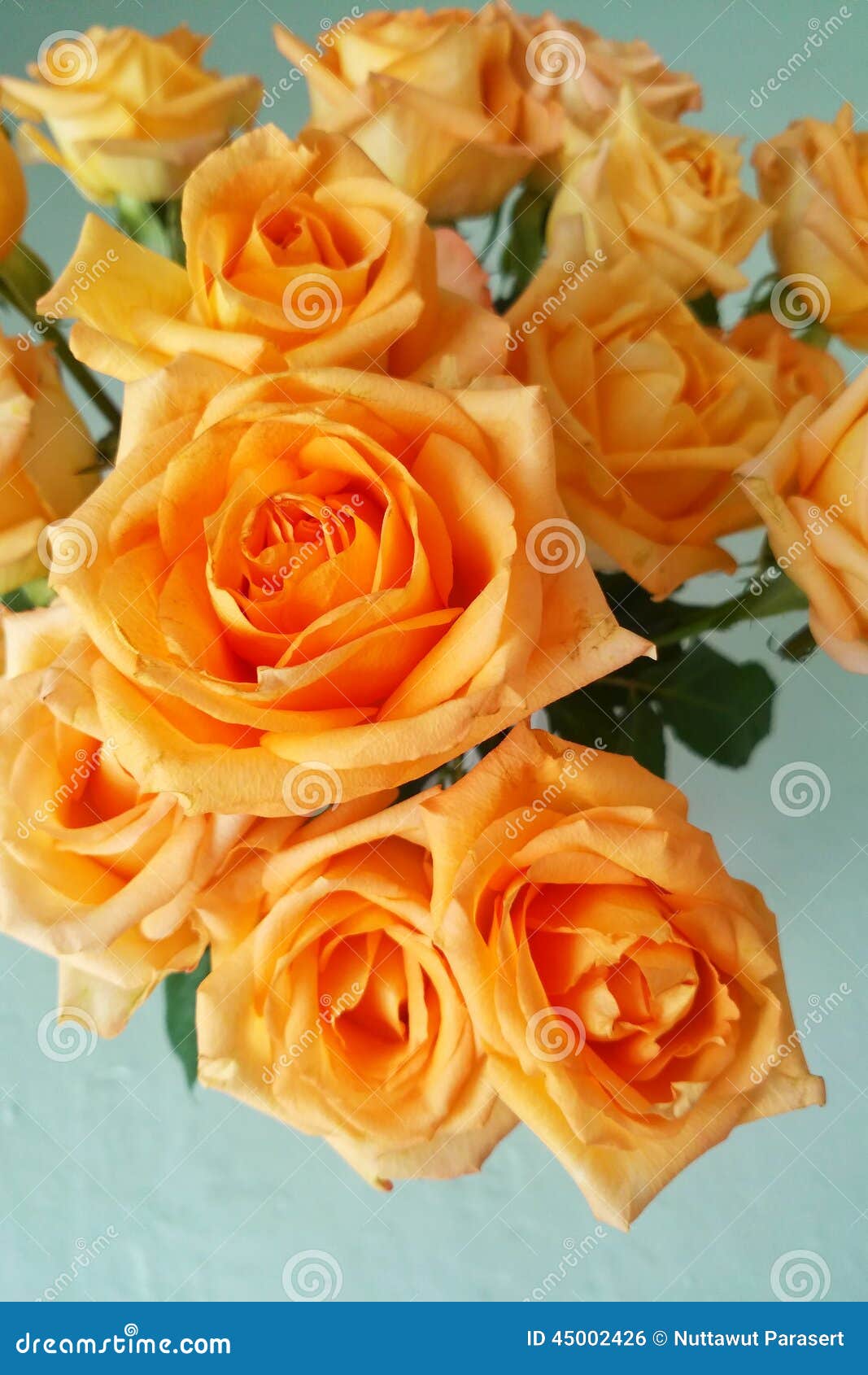 Orange roses in vase stock photo. Image of roses, pattern - 45002426