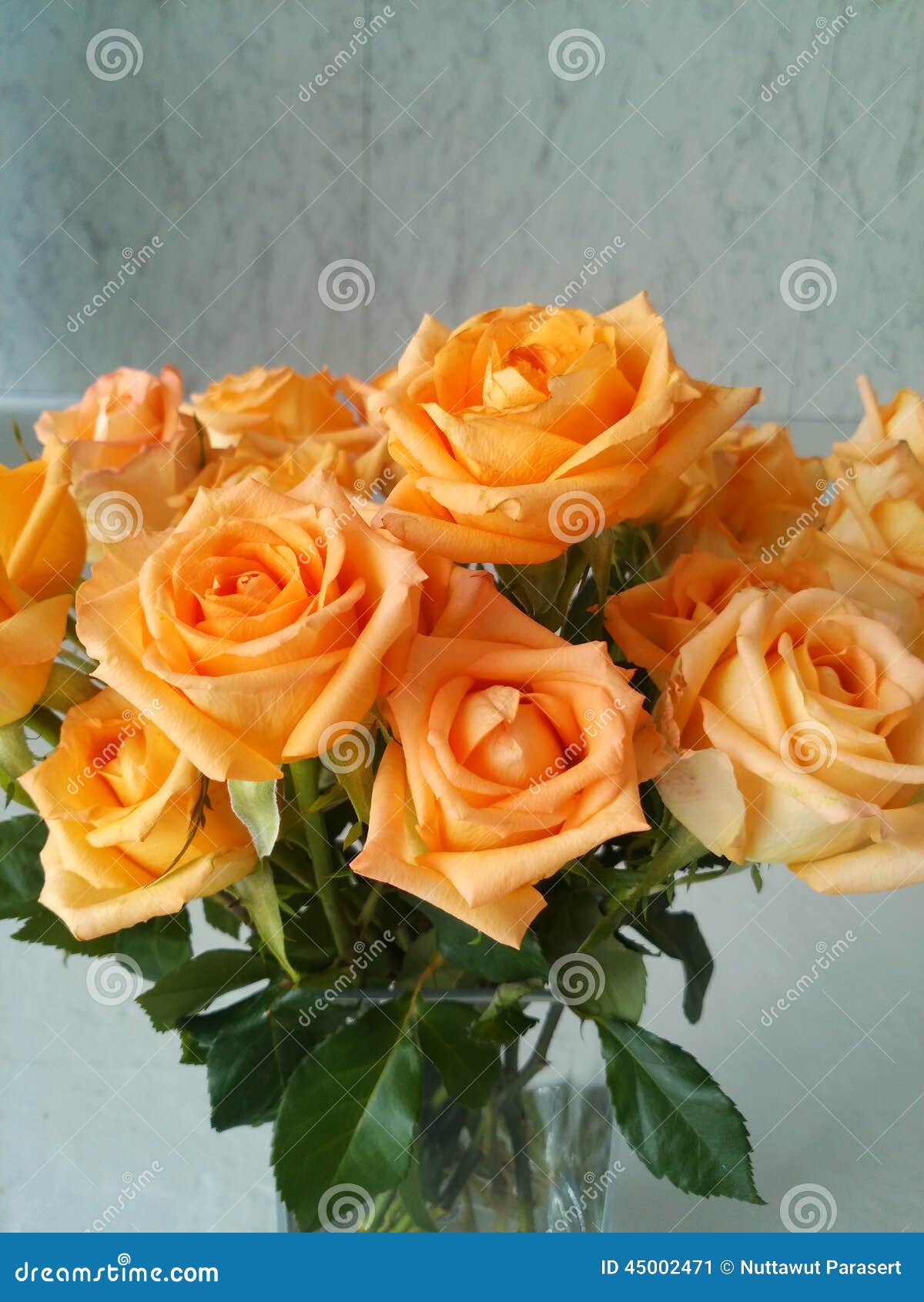 Orange roses in vase stock image. Image of nature, texture - 45002471
