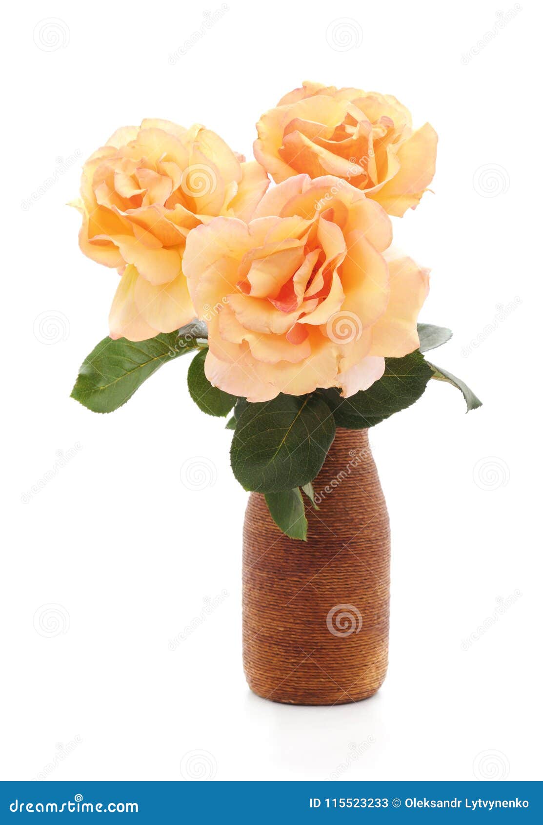 Orange roses in a vase. stock image. Image of flowers - 115523233