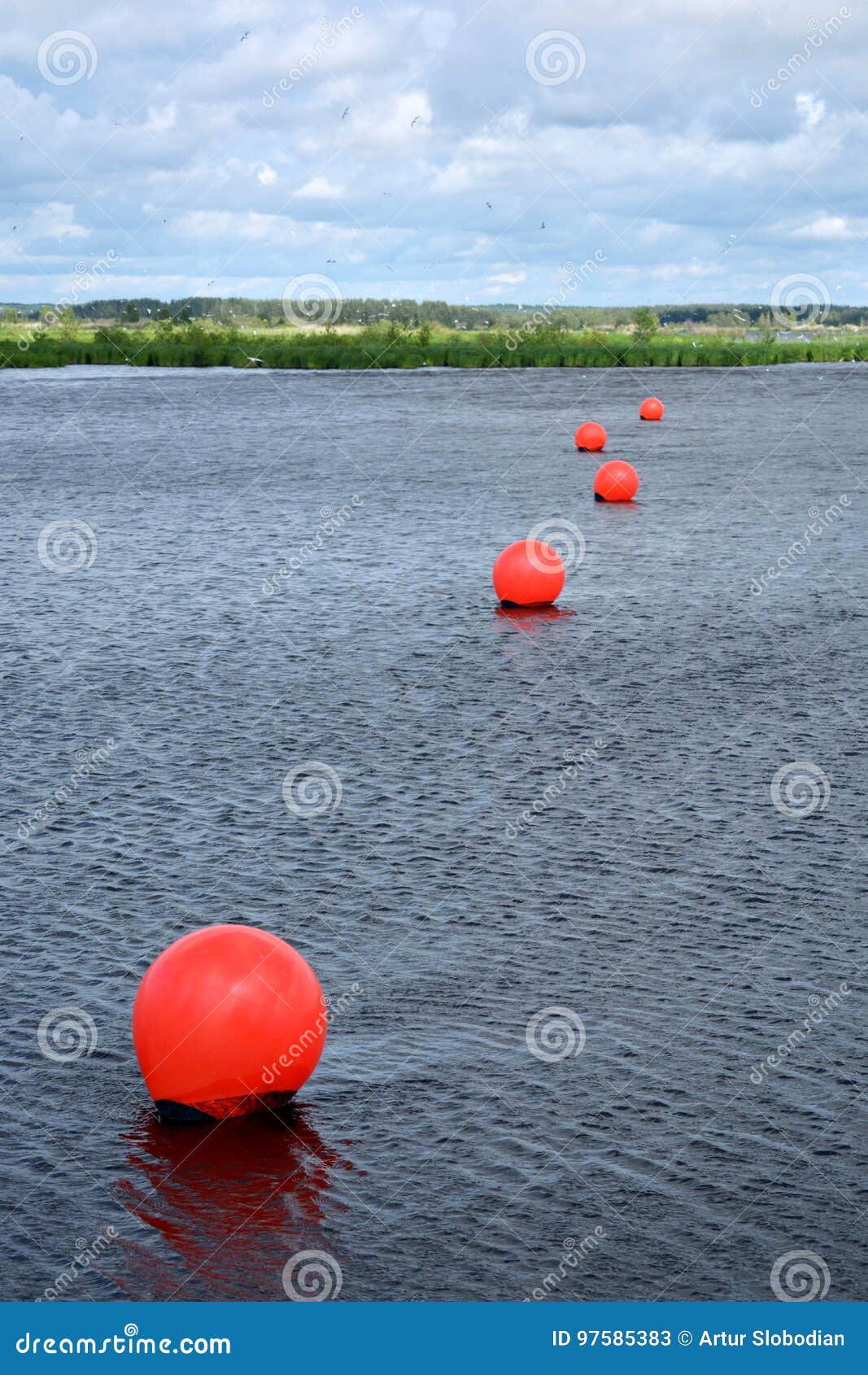 Orange round buoys stock image. Image of forest, ocean - 97585383