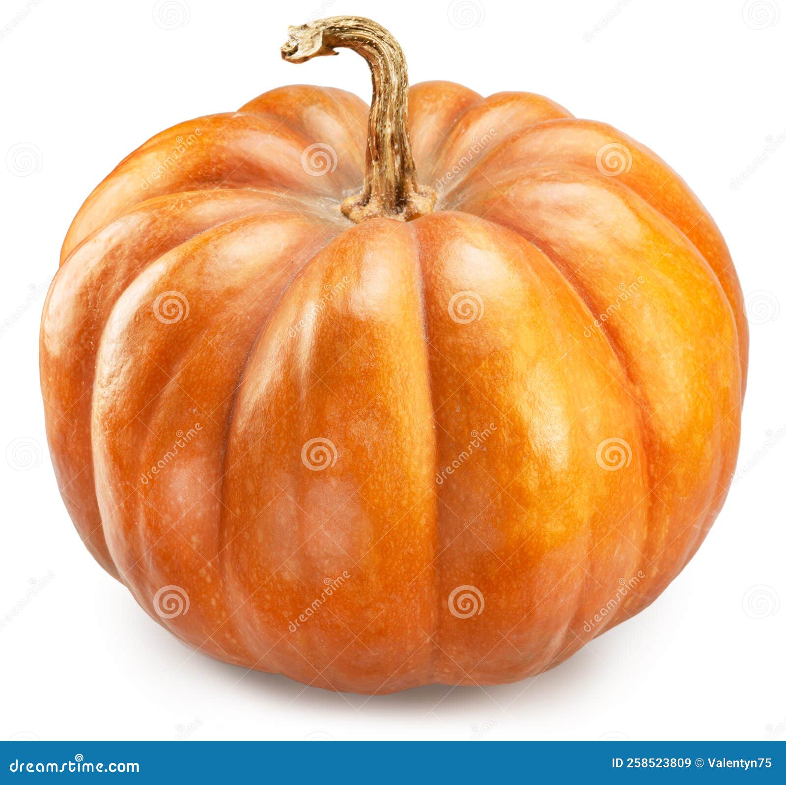Orange Round Pumpkin Isolated on White Background. File Contains ...