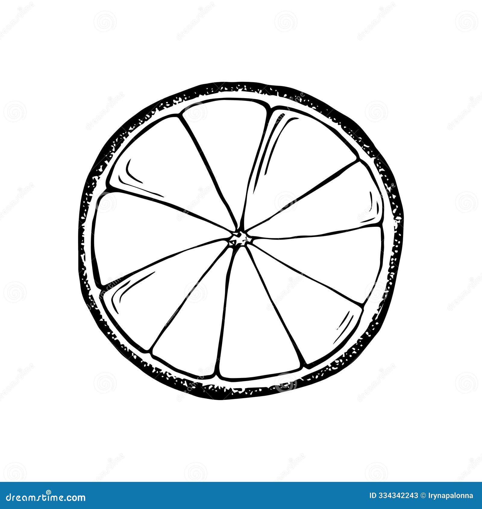 Orange Round Slice Drawing, Vector Illustration, Sketch, Isolated On ...