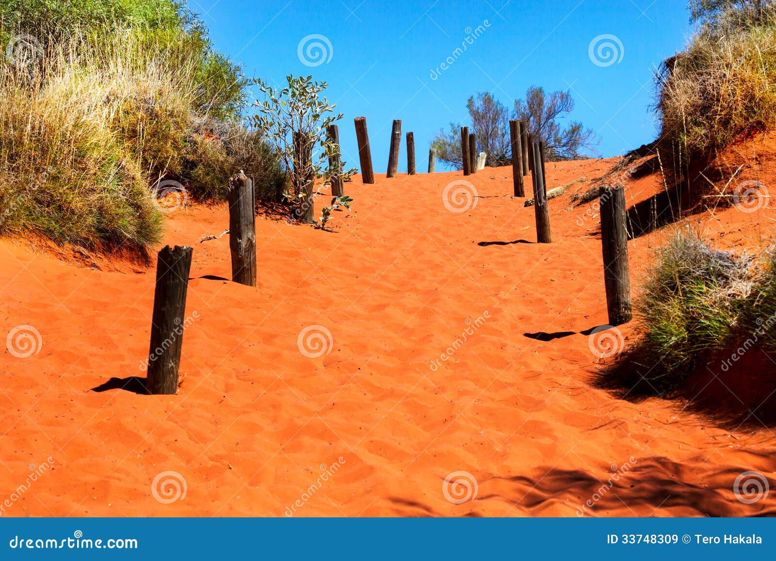 Orange Sandy Path Going Uphill in Australian Outback Stock Image ...