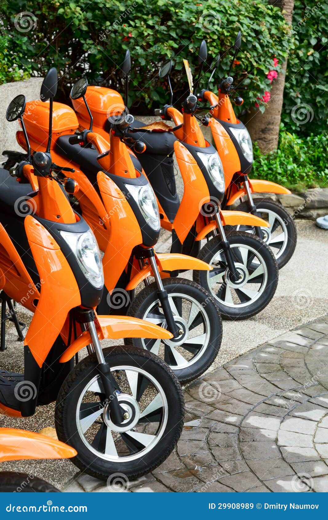 Scooters for rent stock image. Image of street, business - 29908989