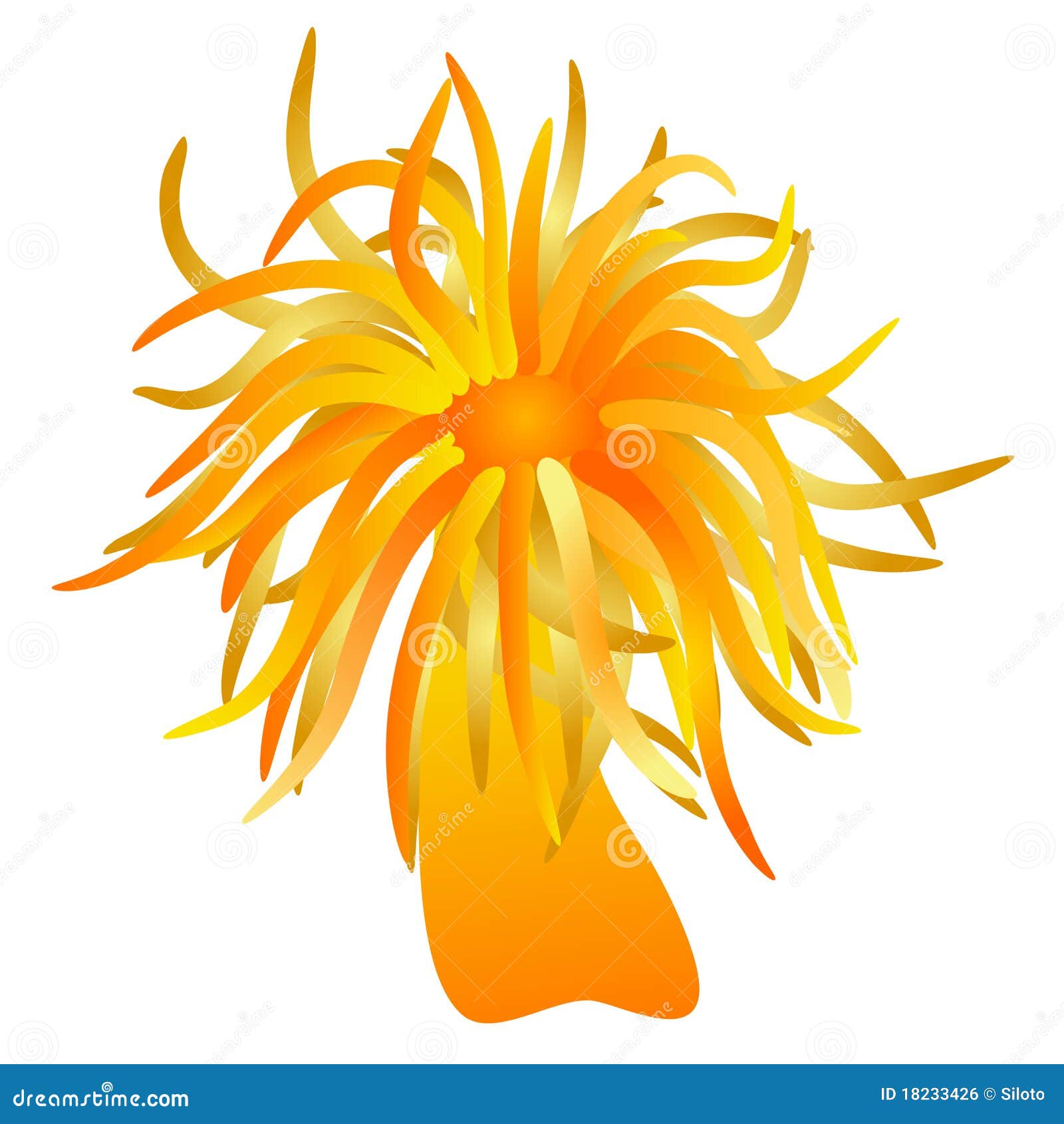 Orange Sea Anemone - Vector Stock Vector - Illustration of flora, mesh ...