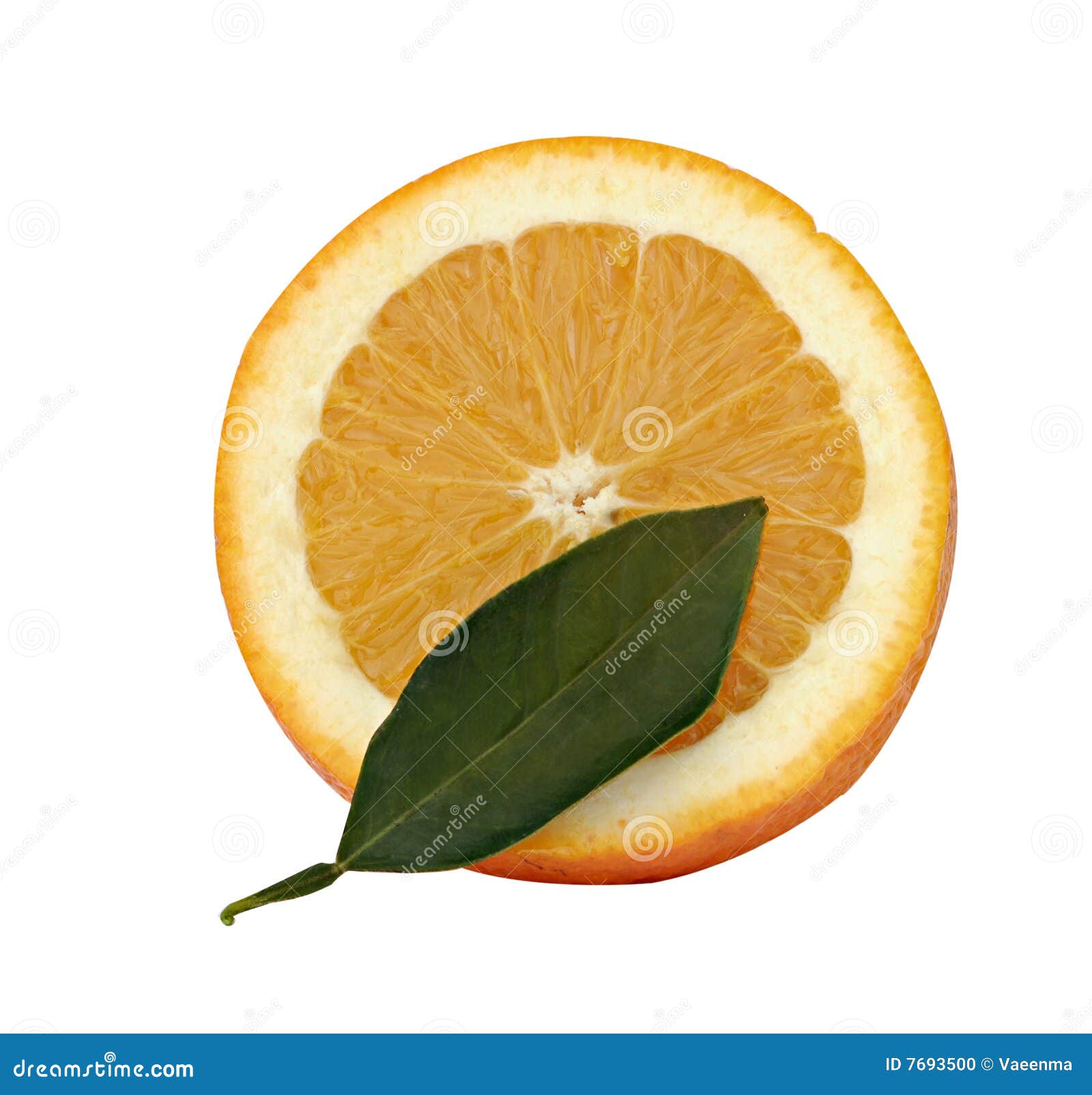 Orange section stock photo. Image of leaf, citrus, sinensis - 7693500