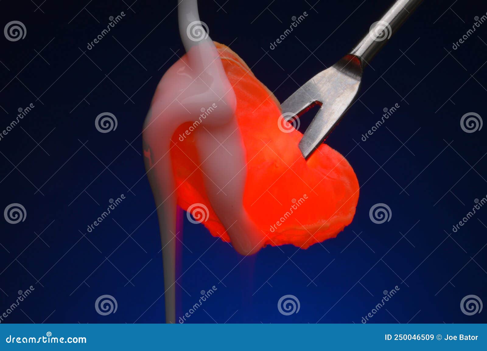 Orange Section Dripping with Cream Stock Image - Image of exquisite ...