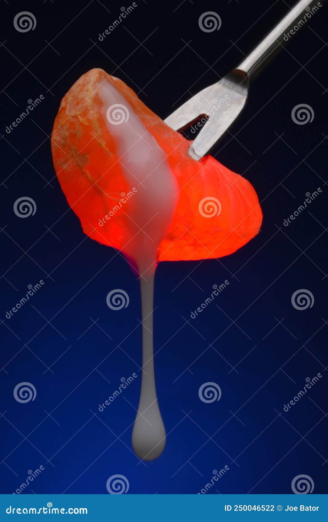Orange Section Dripping with Cream Stock Photo - Image of orange ...