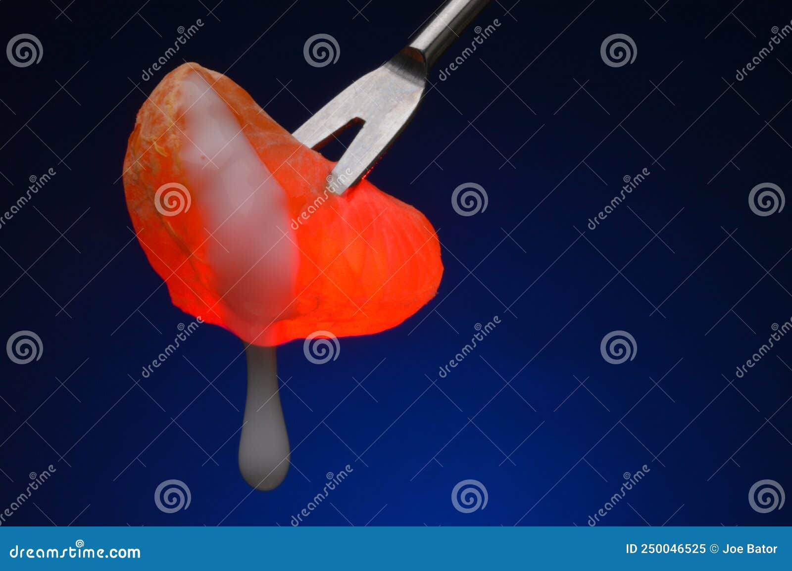 Orange Section Dripping with Cream Stock Image - Image of elegant ...