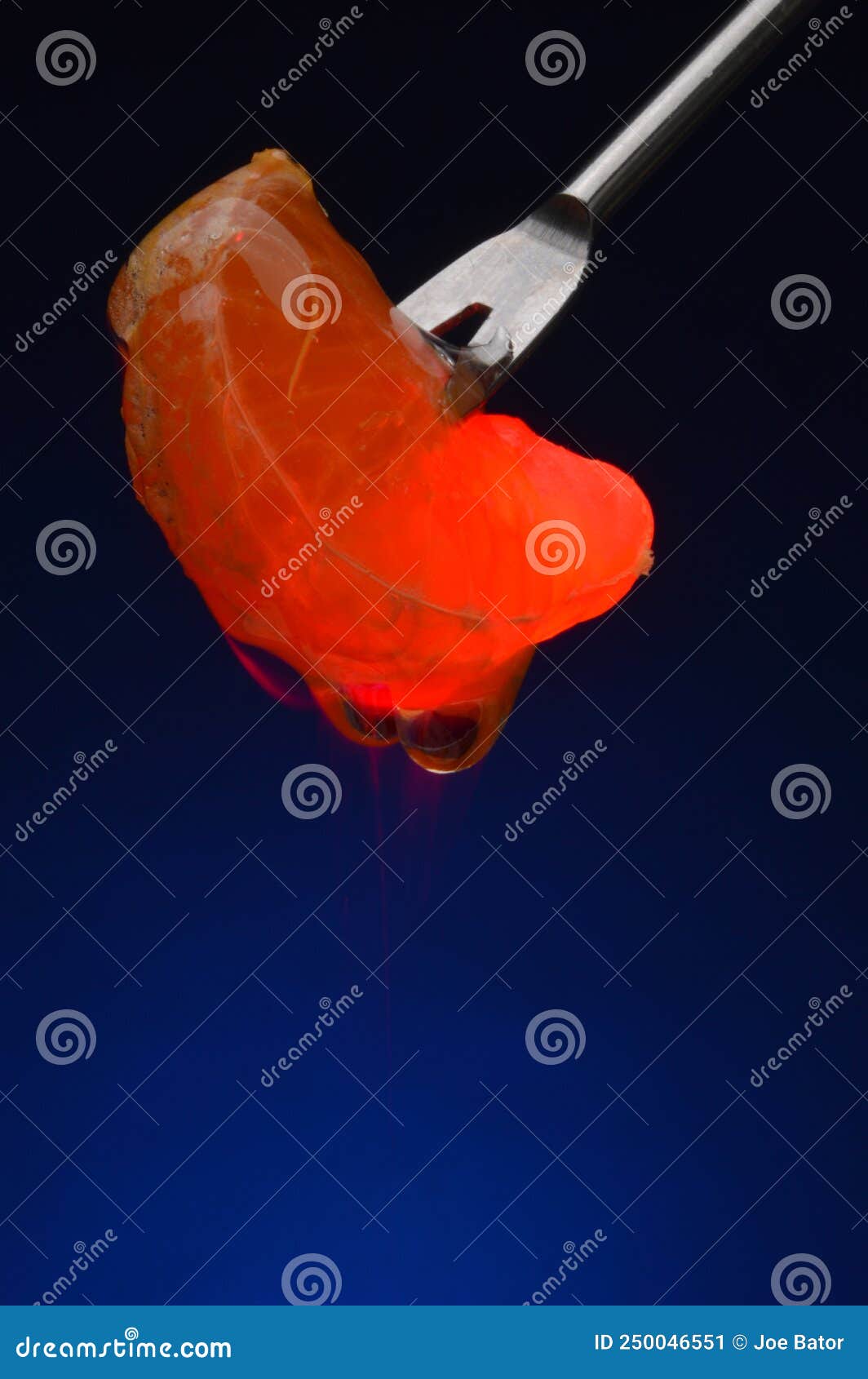 Orange Section Dripping with Syrupy Glaze Stock Image - Image of grand ...