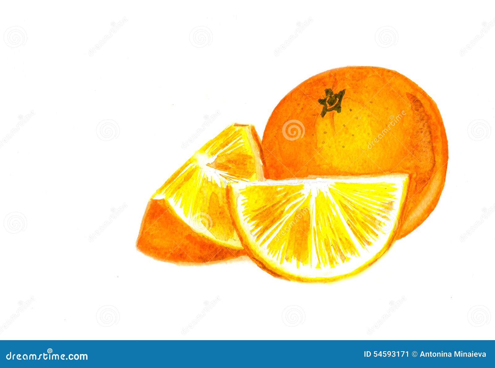 Orange segment stock illustration. Illustration of freshness - 54593171