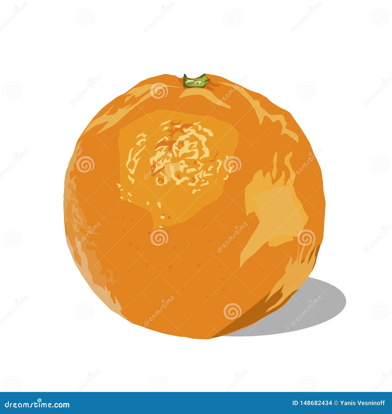 Orange with Shadow Vector Image Stock Illustration - Illustration of ...