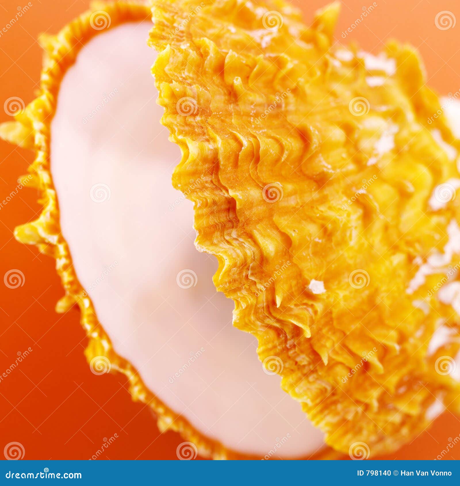 Orange shell stock photo. Image of carapace, hull, tide - 798140