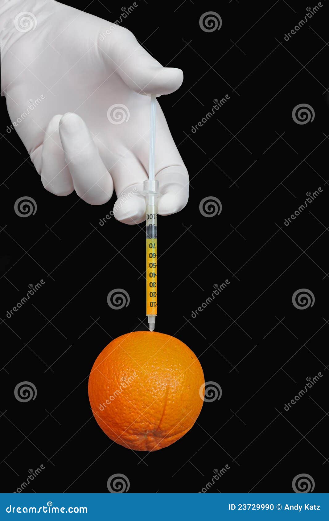 Orange Shooting Orange stock photo. Image of agriculture - 23729990