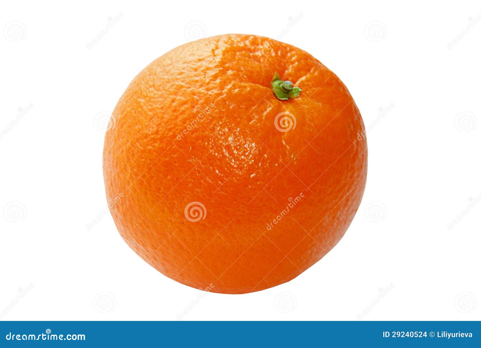 Orange single stock photo. Image of lush, food, foliage - 29240524