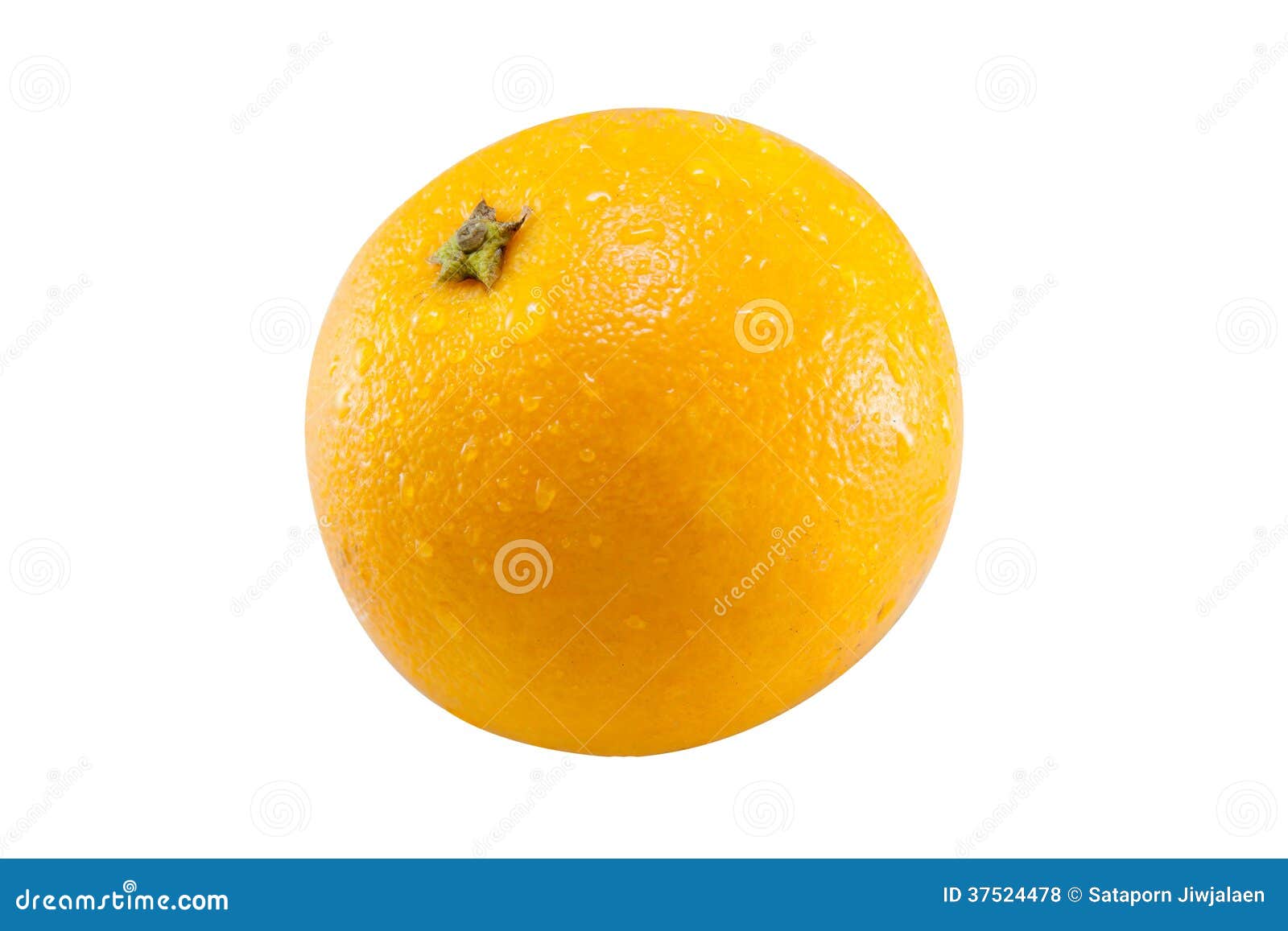 Orange single stock photo. Image of summer, food, orange - 37524478