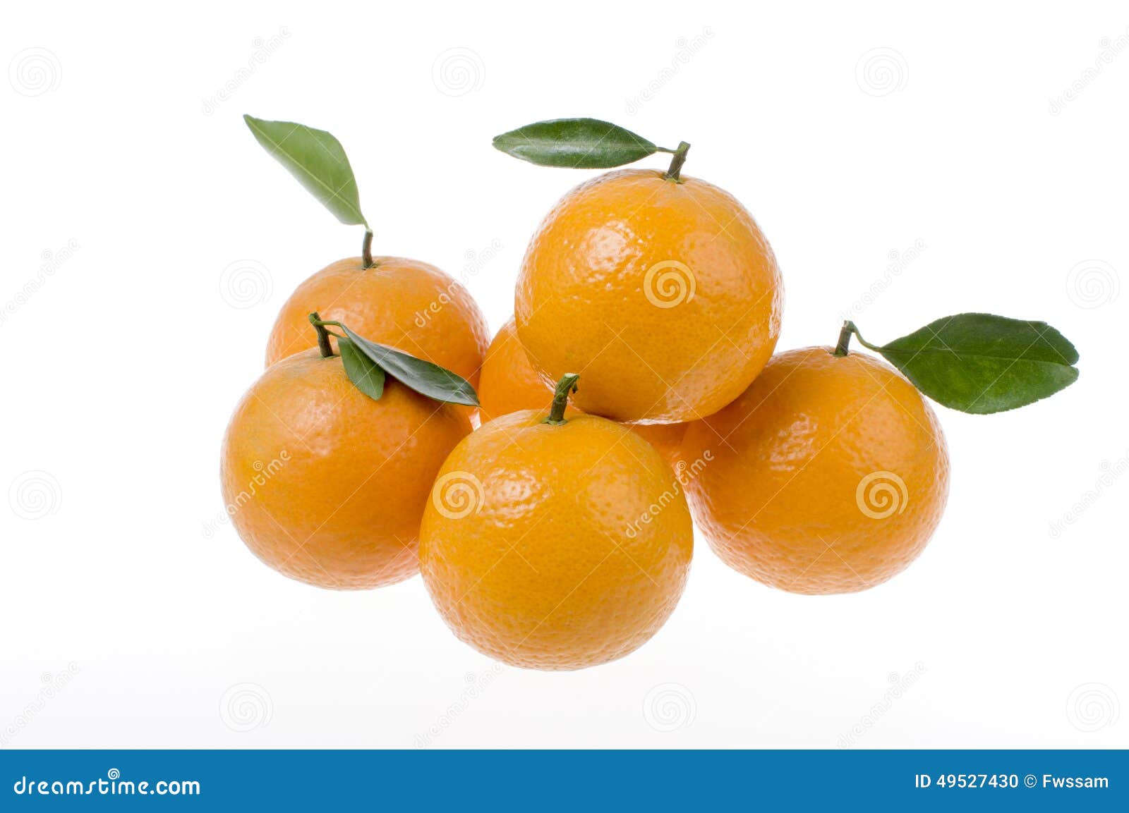 Orange stock photo. Image of bowl, sliced, slice, sweet - 49527430