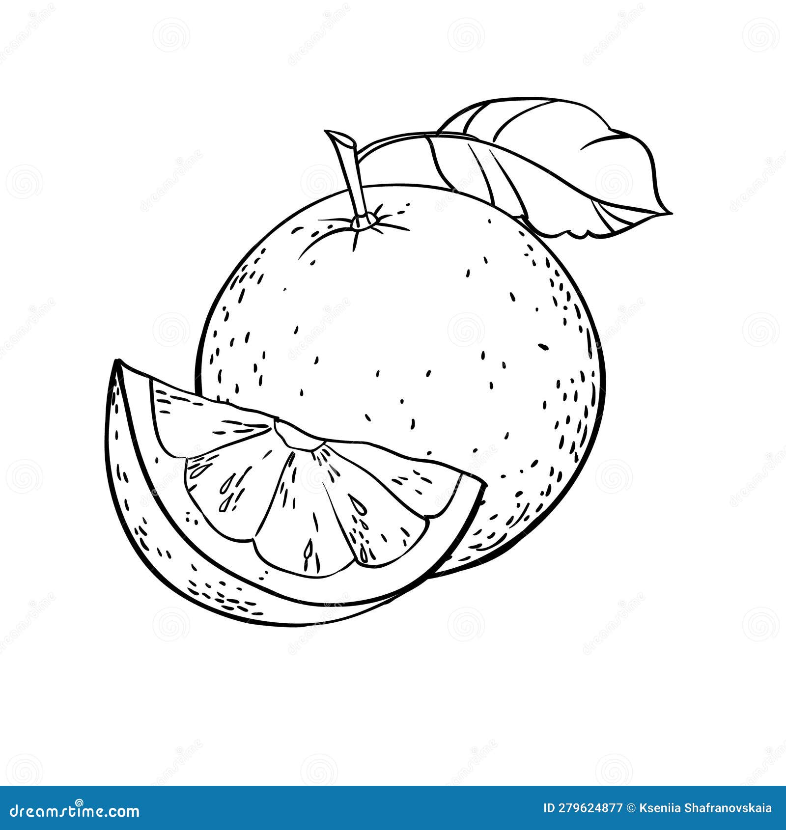 Orange Sketch Linen Vector Illustration Stock Vector - Illustration of ...