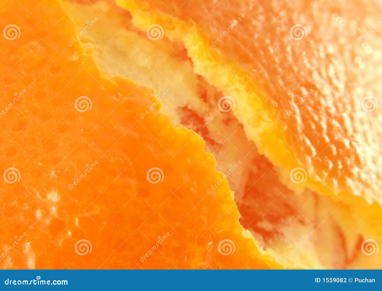 Orange skin stock photo. Image of orange, health, skin - 1559082