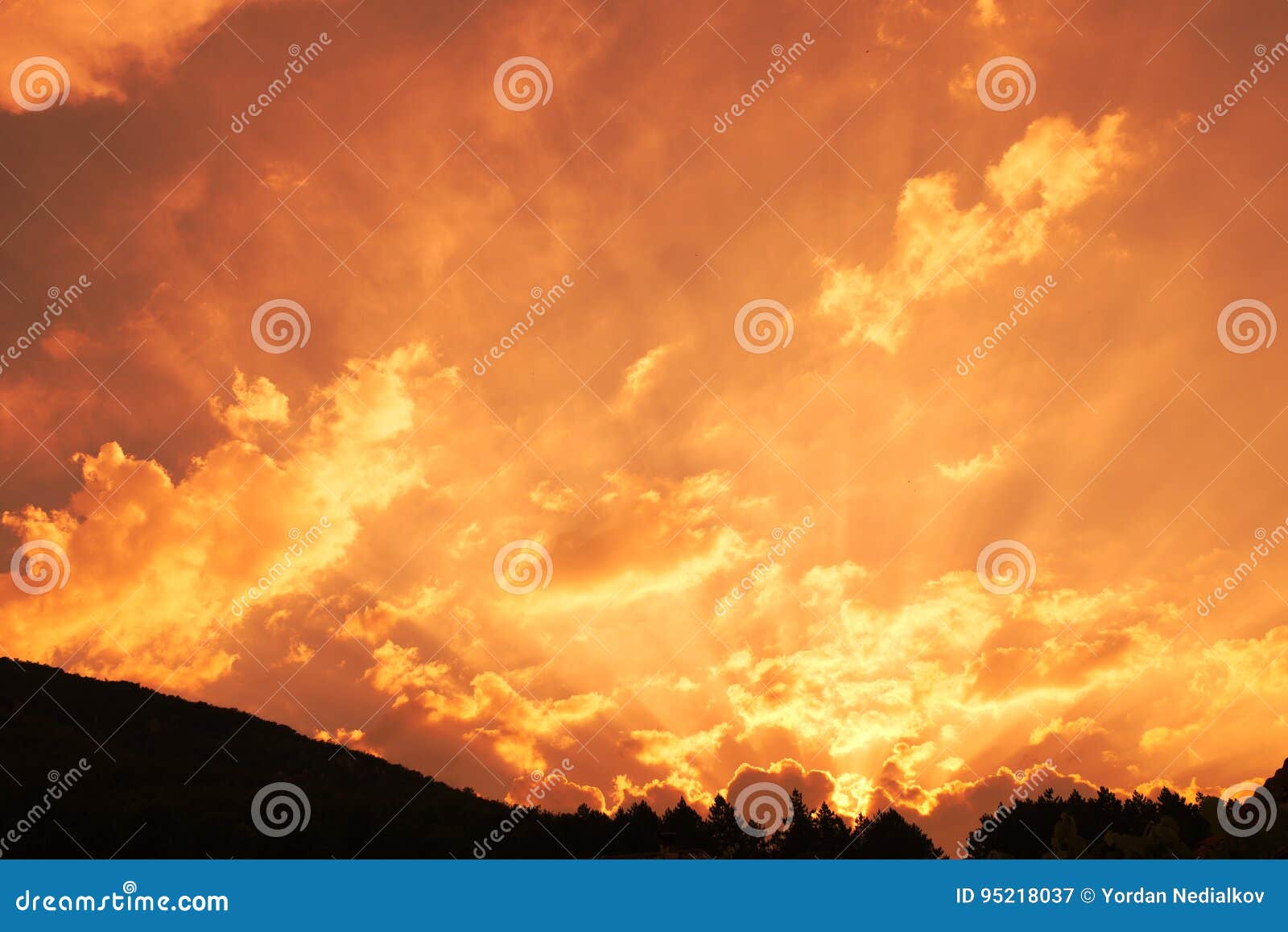 Orange Sky Over the Tree Line Stock Image - Image of quiet, warm: 95218037