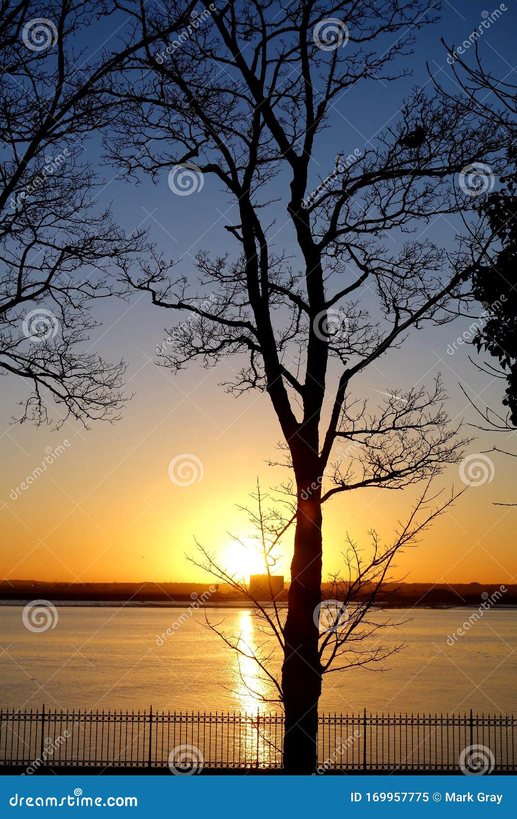 Orange Sky at Sunset Behind a Tree Stock Image - Image of sunset, dusk ...