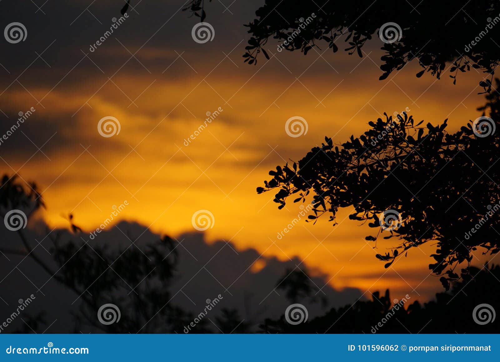Orange sky stock photo. Image of twilight, nature, tree - 101596062