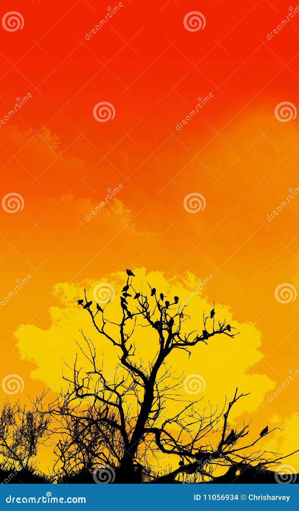 Orange Sky and Tree Foreground Stock Illustration - Illustration of ...