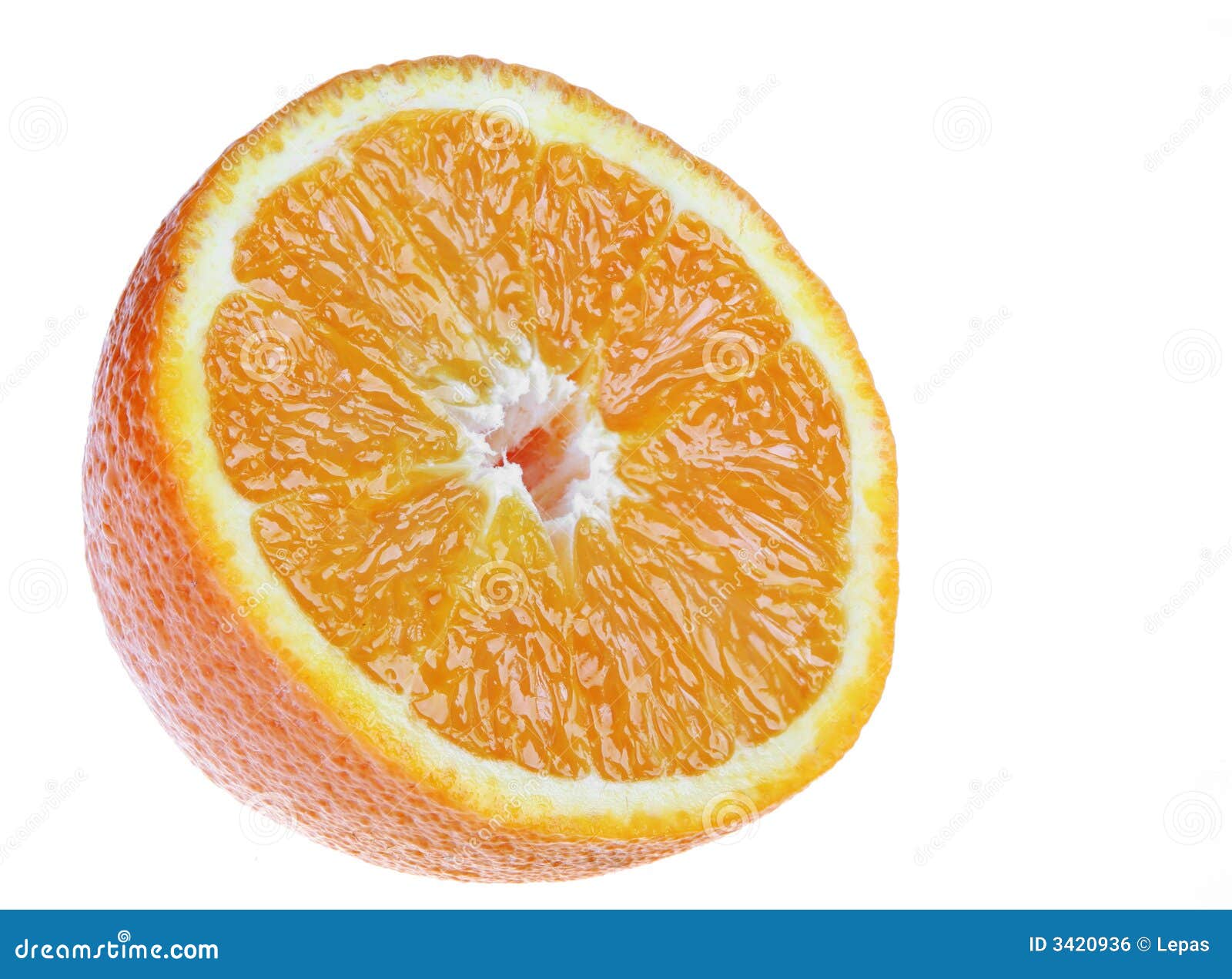 Orange slice stock photo. Image of white, citrus, fruit - 3420936