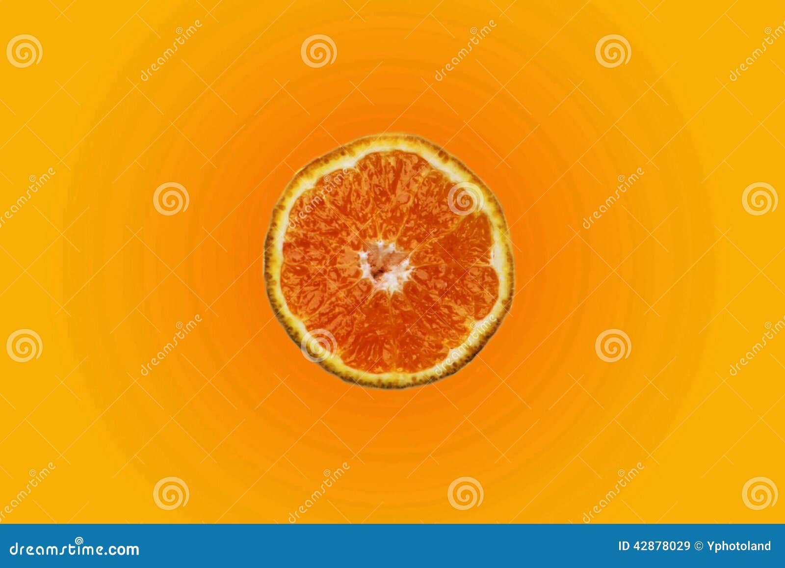 Orange slice stock image. Image of fruit, background - 42878029