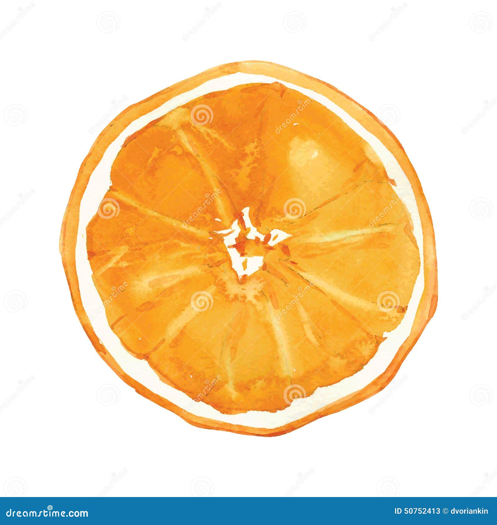 Orange stock vector. Illustration of nutrition, texture - 50752413