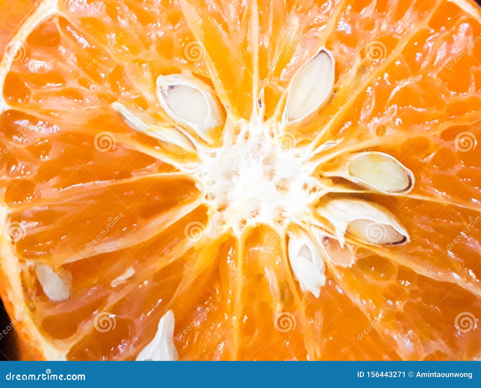 Orange Slice, Orange Fruit Background, Sunkist Oranges are Taken with a ...