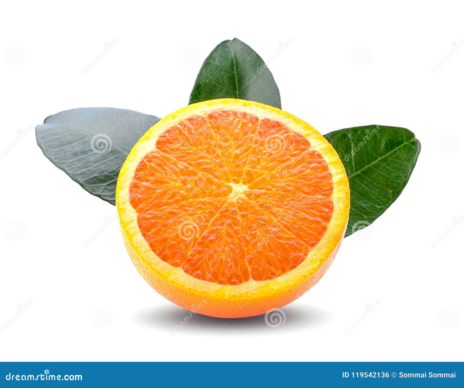 Orange slice isolated stock photo. Image of healthy - 119542136