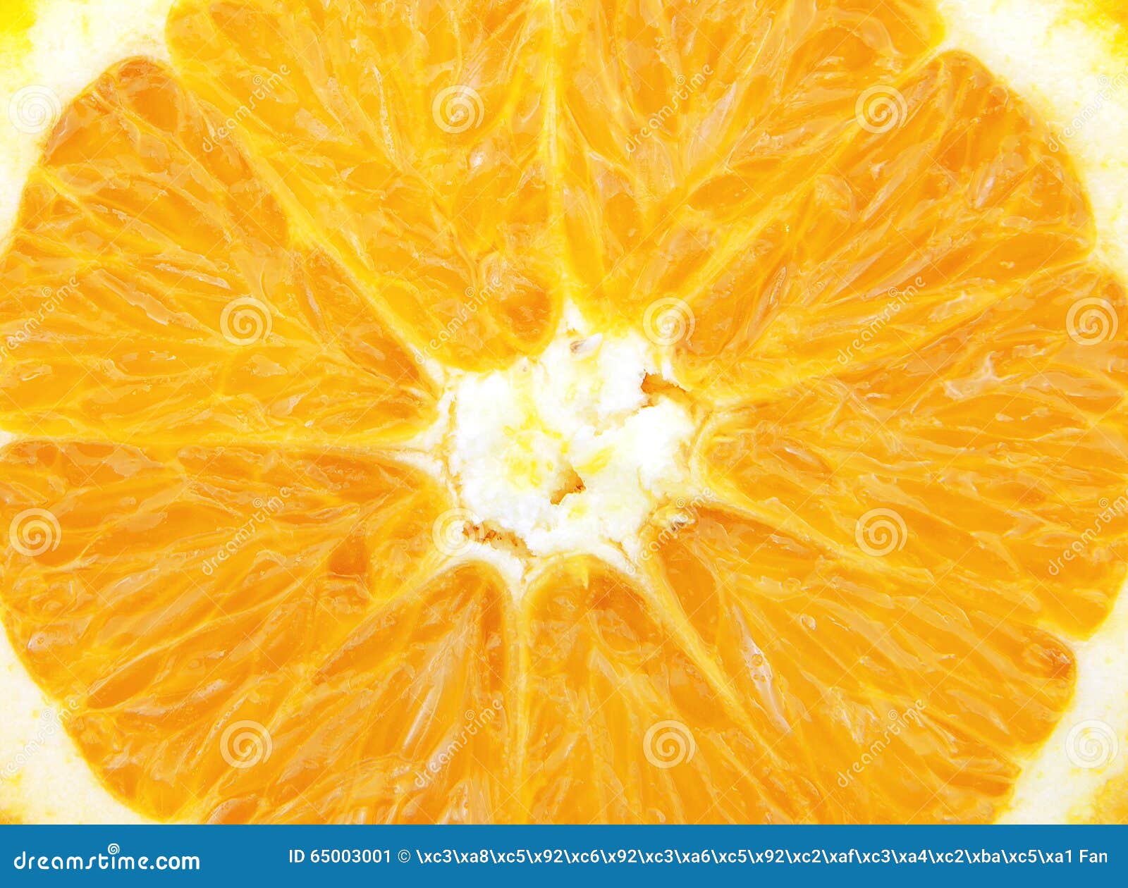 Orange slice stock image. Image of macro, studio, juicy - 65003001