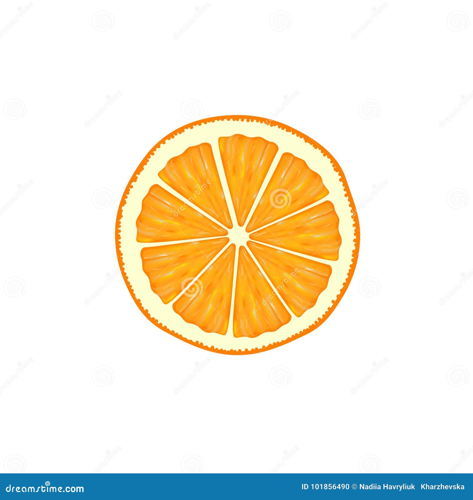 Orange Slice Isolated on White Background. Stock Vector - Illustration ...