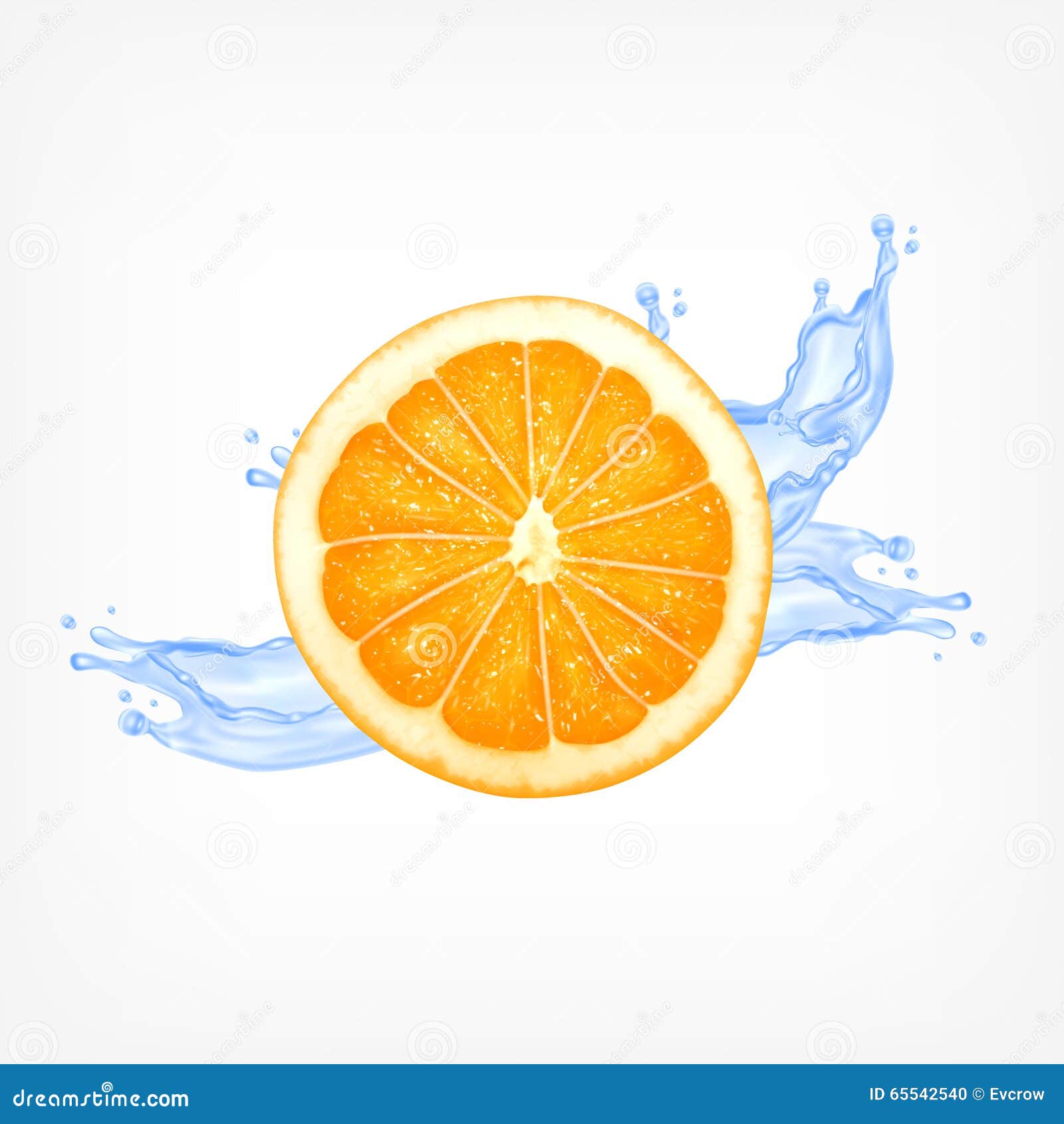 Orange slice with water stock vector. Illustration of healthy - 65542540