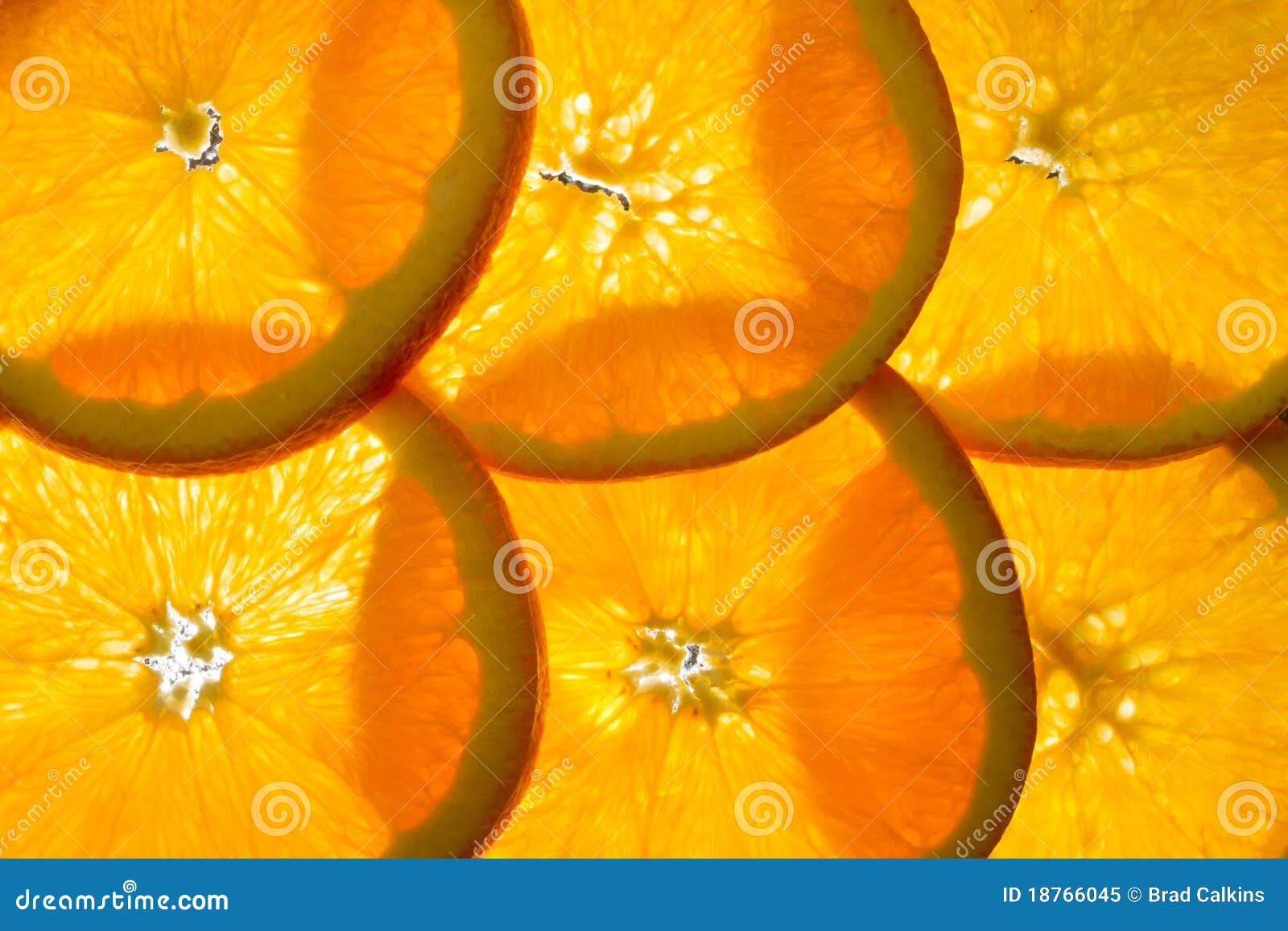 Orange slices stock image. Image of sliced, peel, glow - 18766045