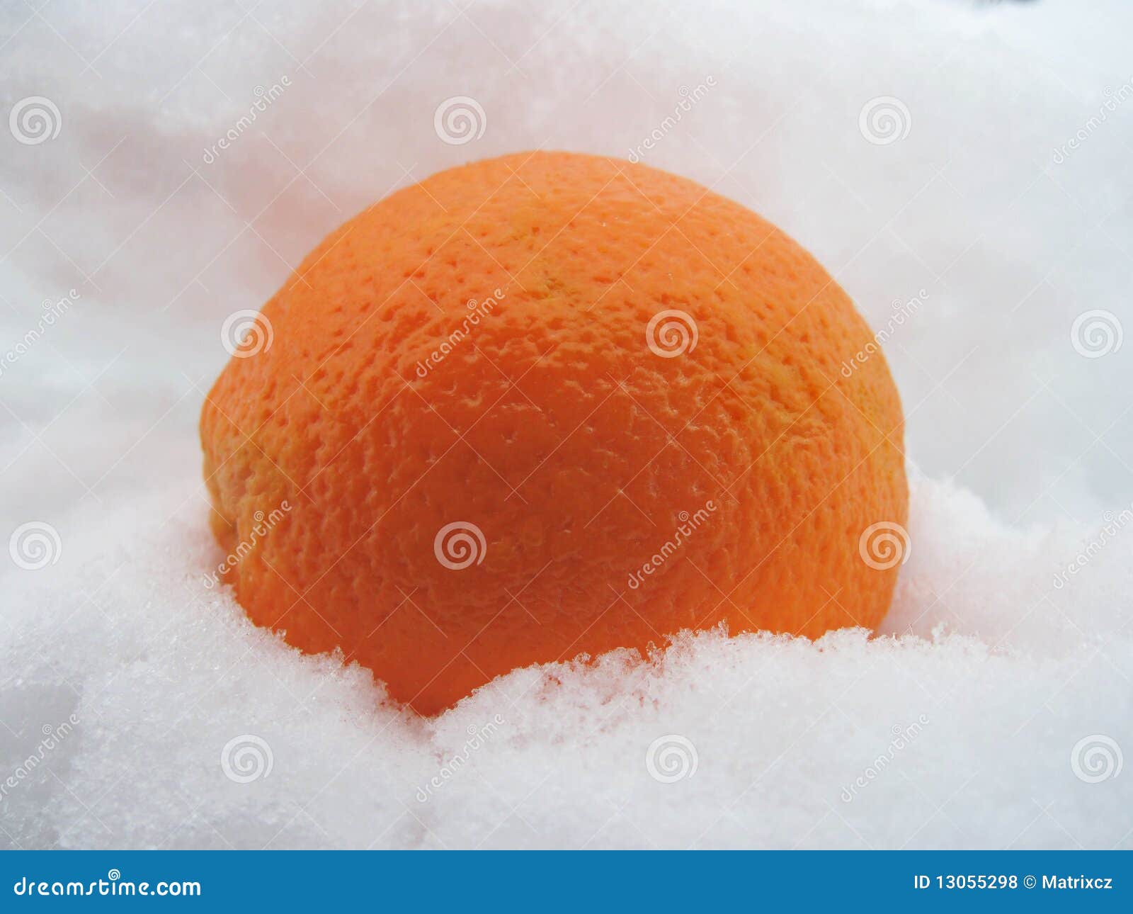 Orange in the snow stock photo. Image of oranges, outside - 13055298