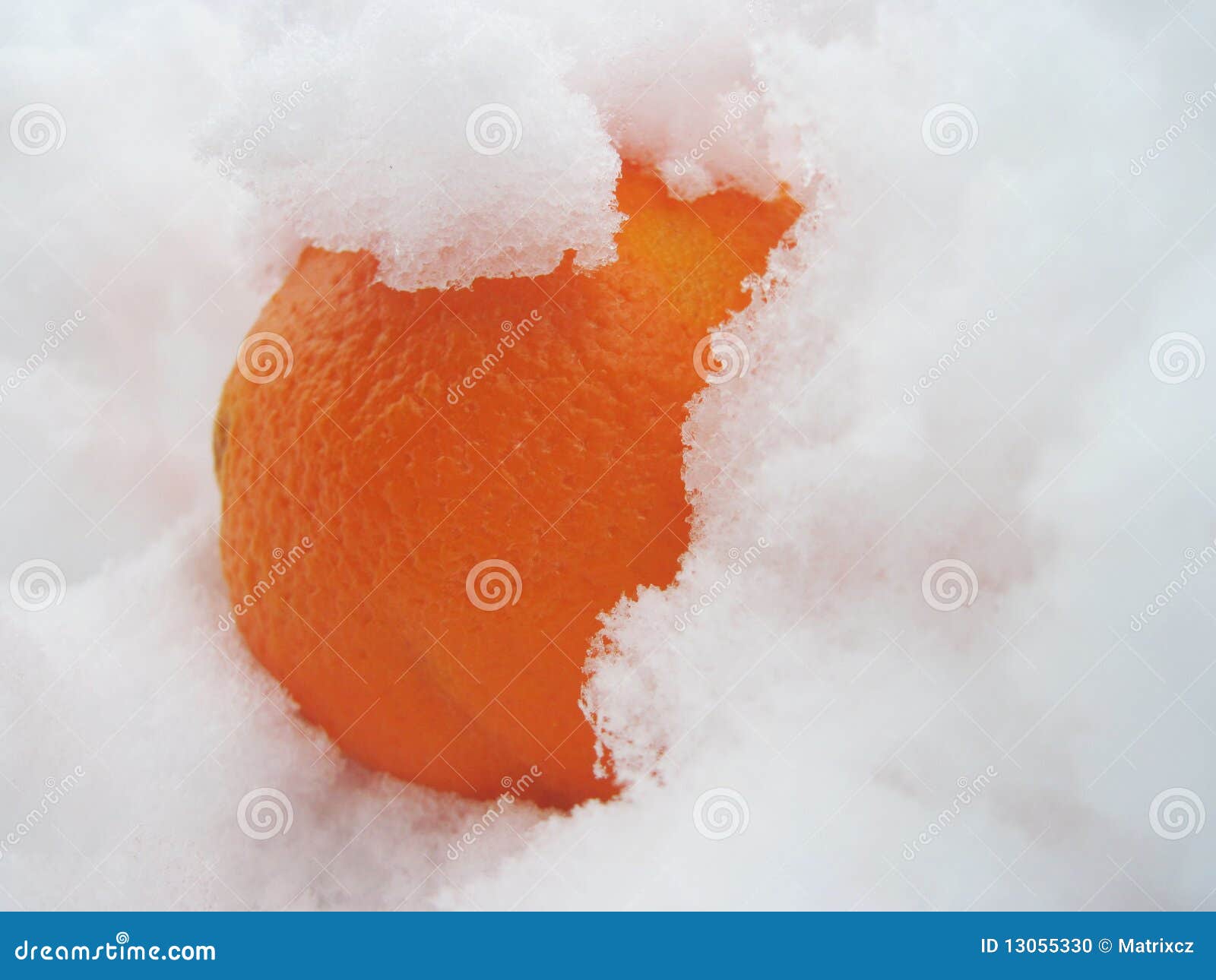 Orange in the snow stock photo. Image of season, colors - 13055330