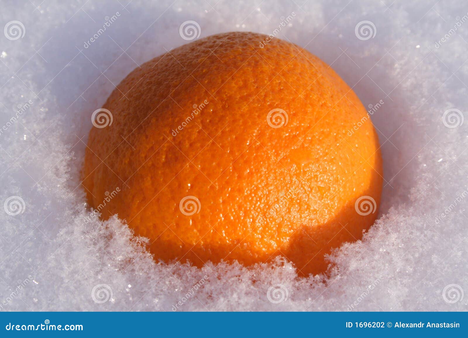 Orange on snow stock photo. Image of white, stem, healthy - 1696202