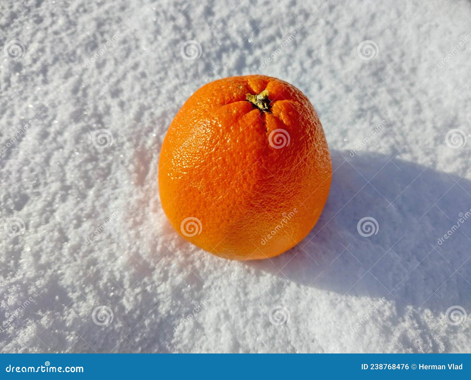 Orange on the snow - fruit stock photo. Image of romania - 238768476