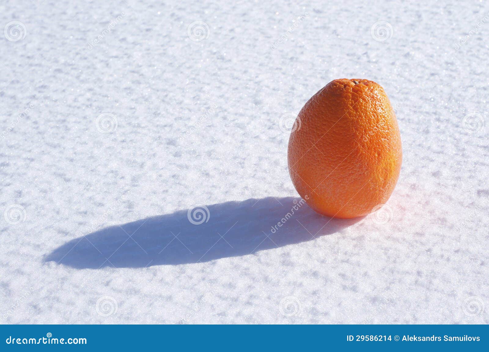 Orange in the Snow on a Sunny Day Stock Photo - Image of snow, january ...