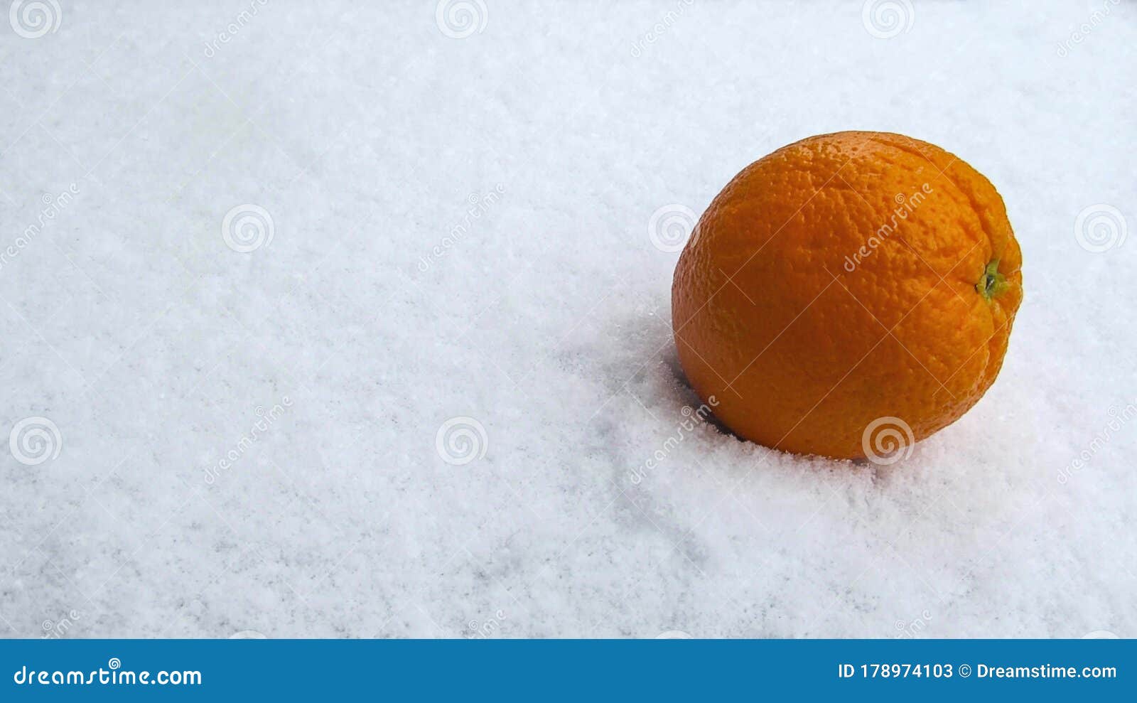Orange in the Snow. Tropical Fruit on a Snowy Background Stock Image ...