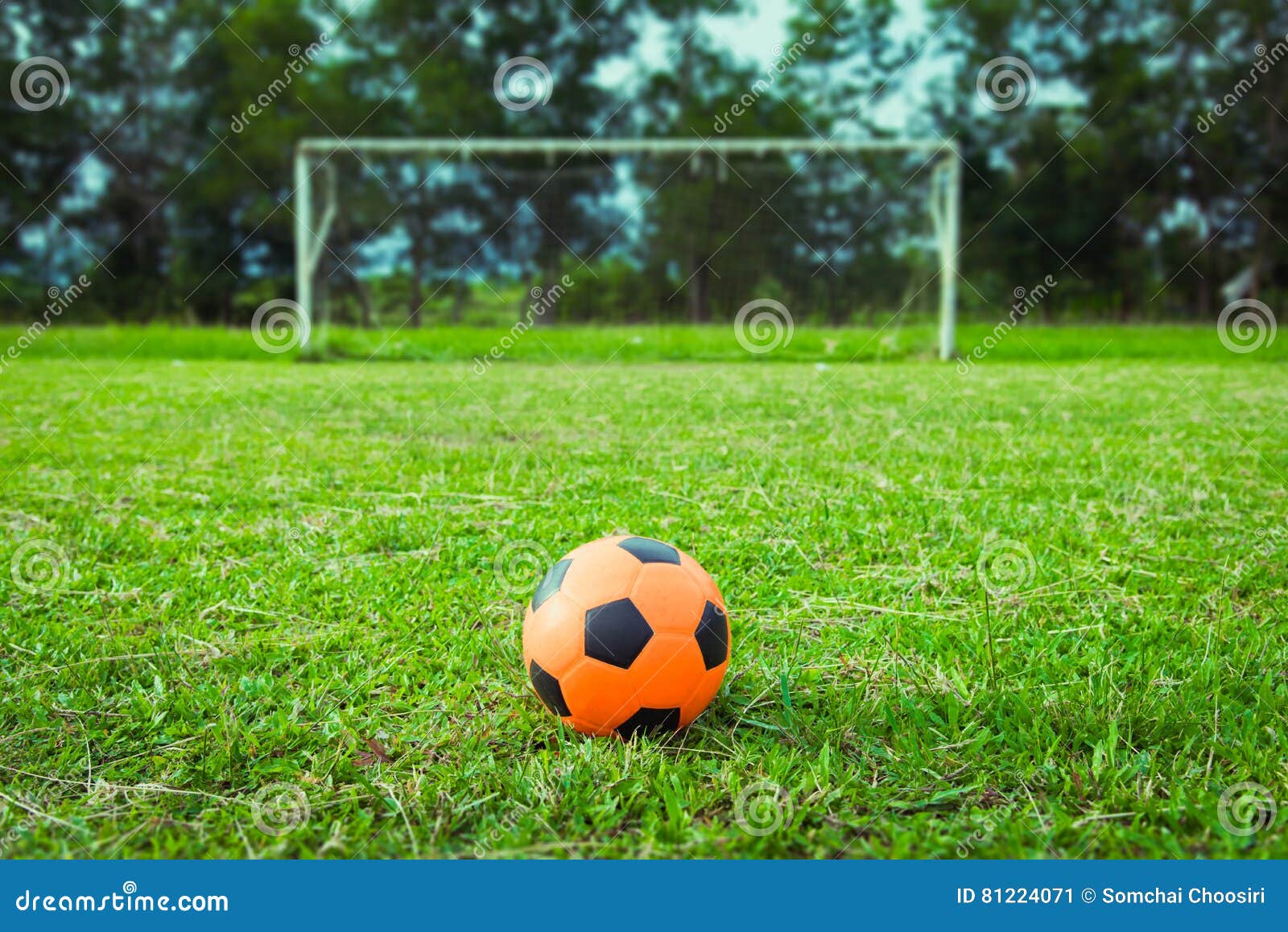 Orange soccer ball stock image. Image of green, game - 81224071