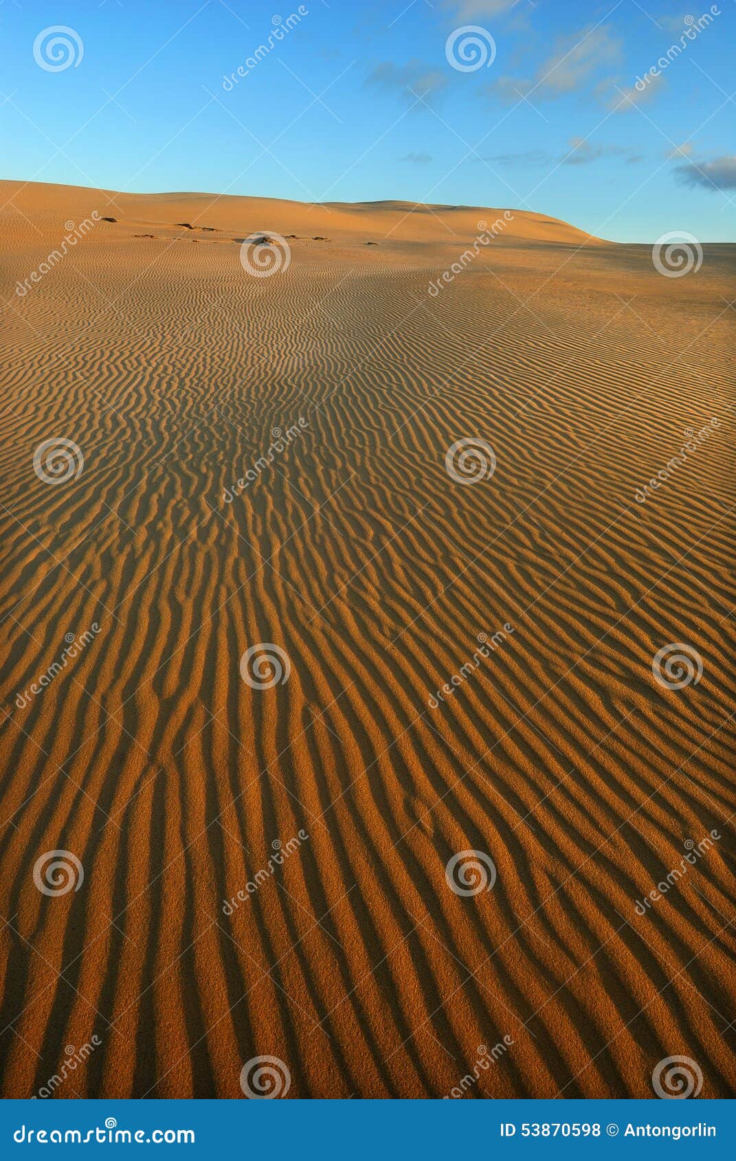 Orange soft desert sand stock photo. Image of australia - 53870598