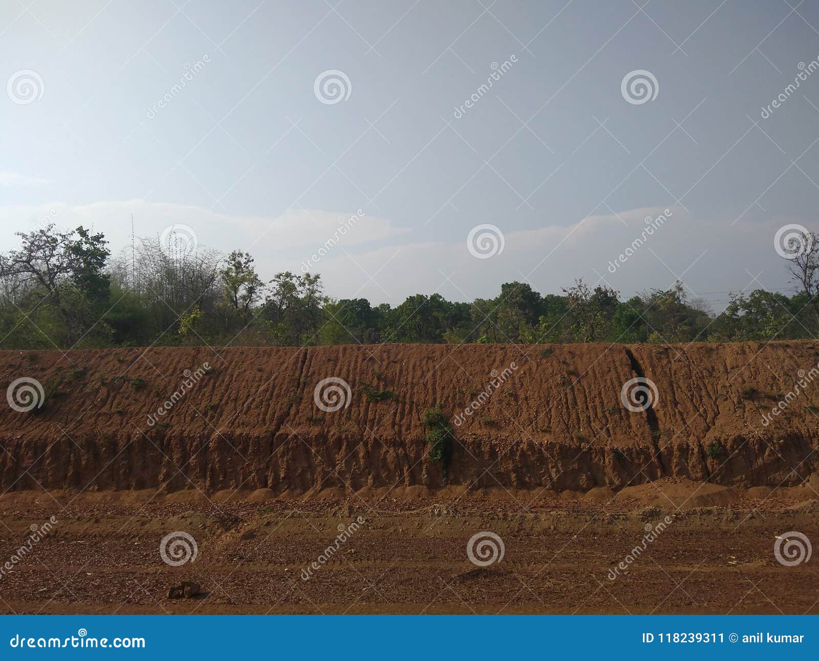 Orange soil rain cutted stock image. Image of forest - 118239311