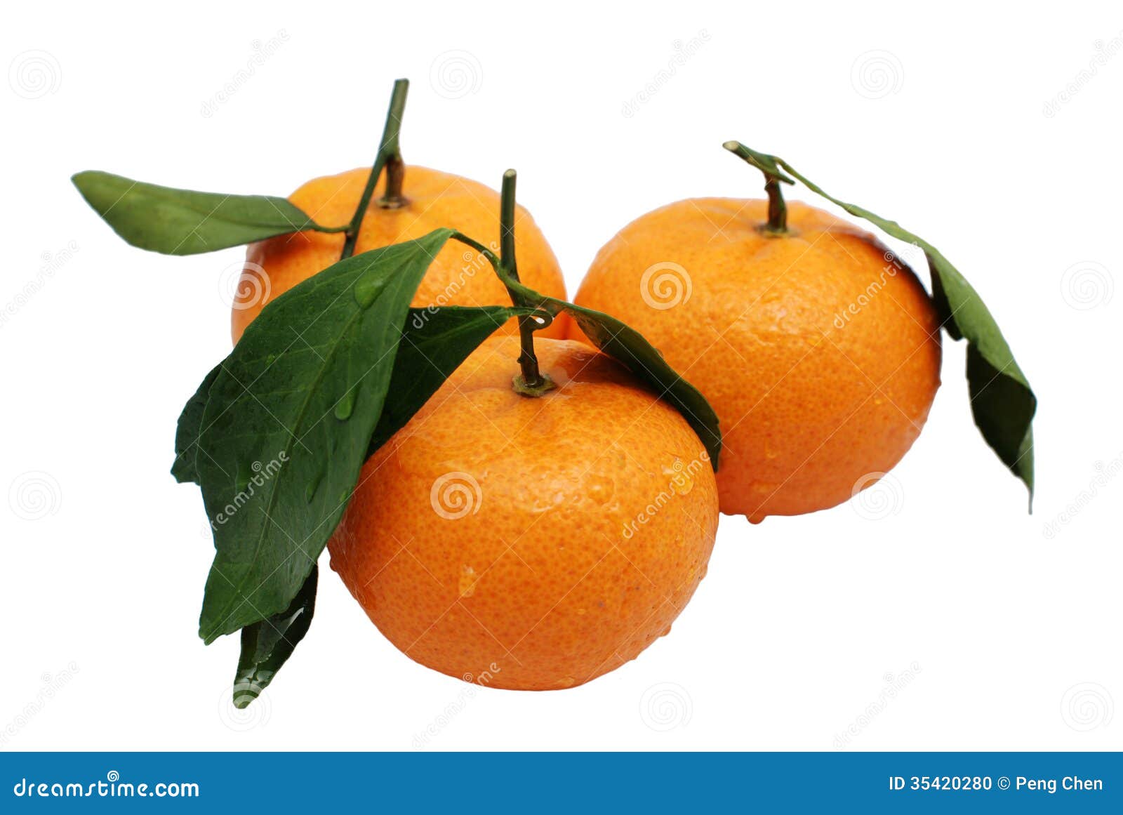 Orange stock photo. Image of round, tasty, peel, oranges - 35420280