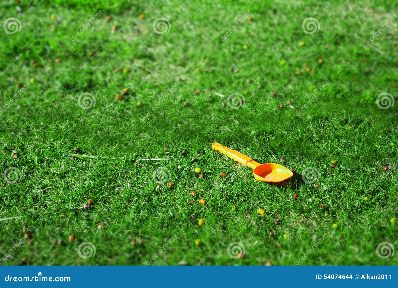 Orange Spade in a Green Field Stock Photo - Image of leisure, close ...