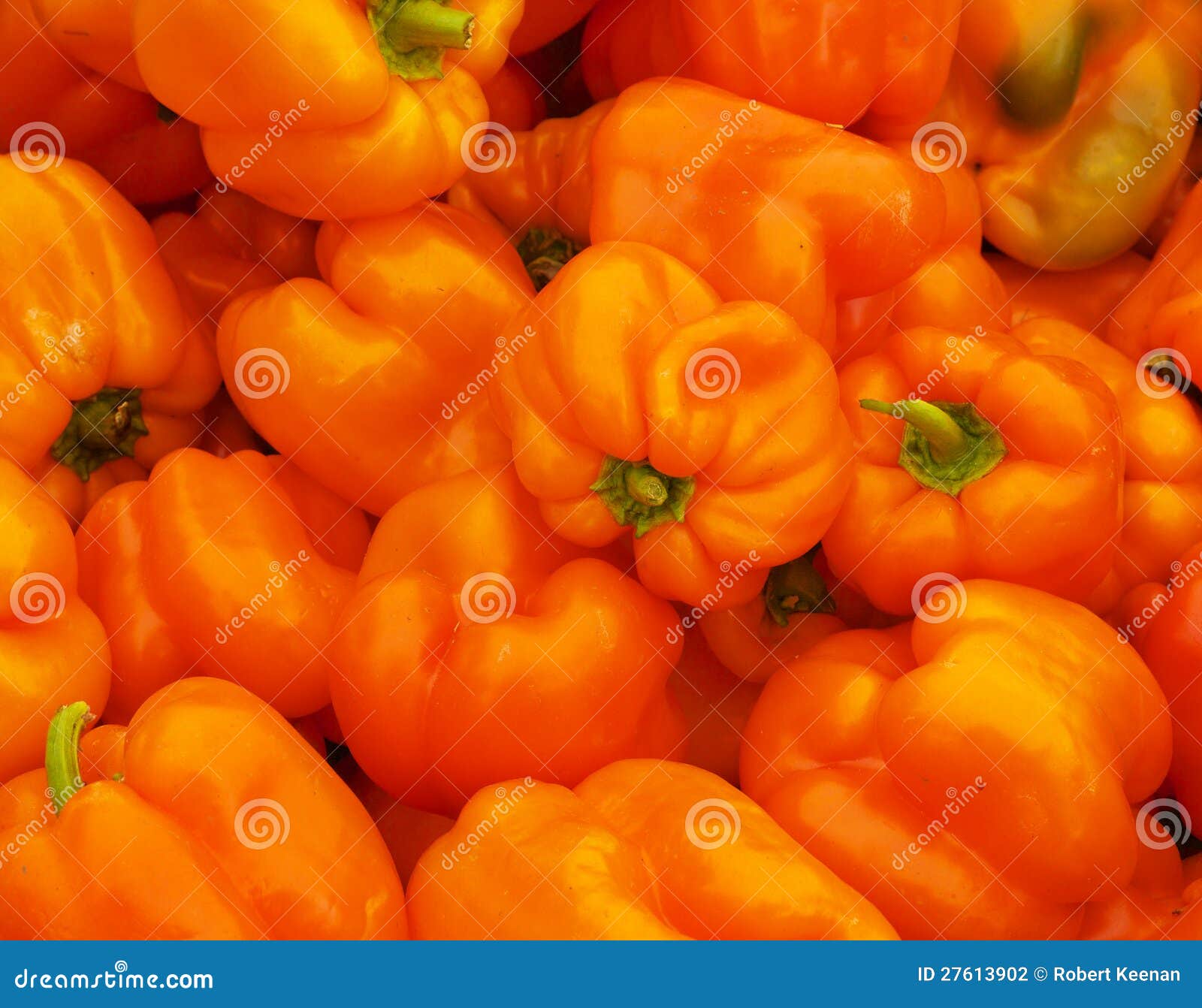 Orange spansk peppar arkivfoto. Bild av äta, näring, sallad - 27613902
