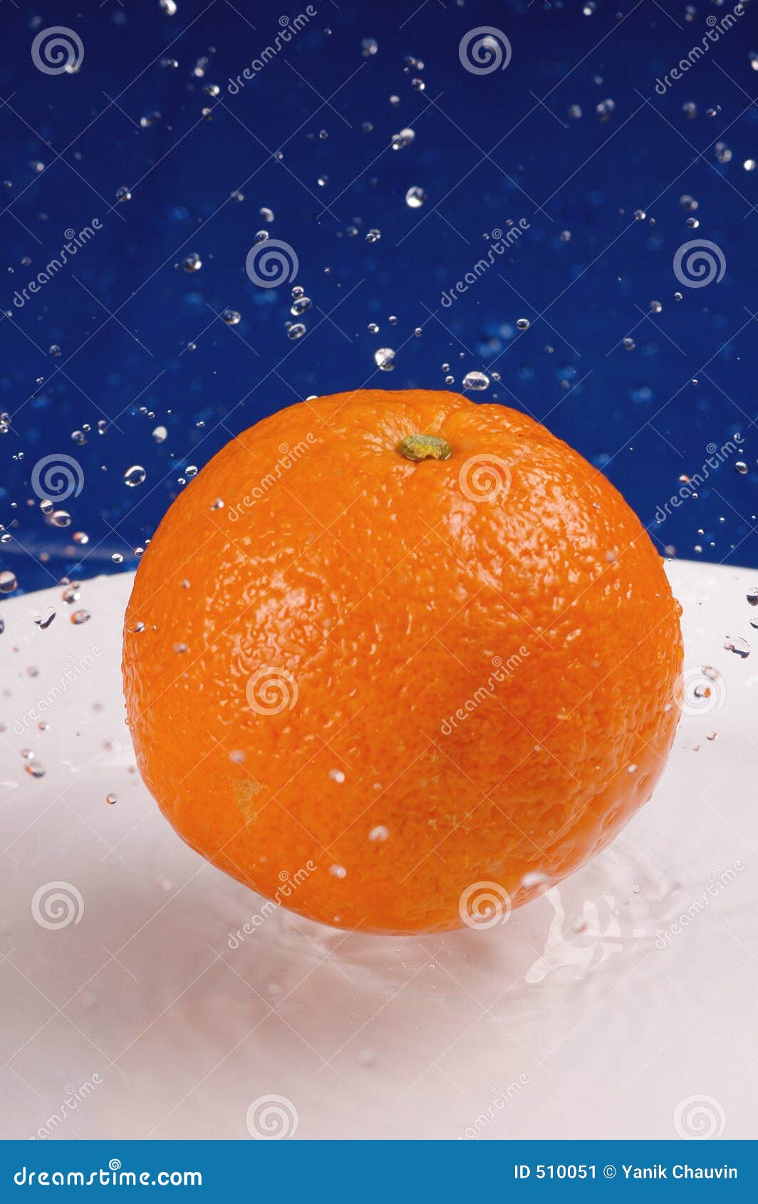 Orange Splash stock image. Image of seeds, water, sphere - 510051